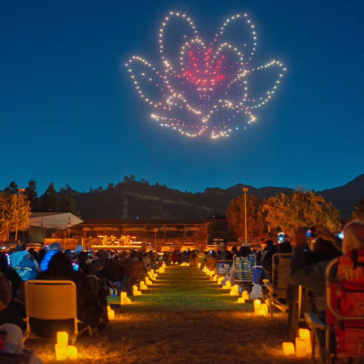 DroneArt Show Lands in Melbourne Next Month | Fever Newsroom